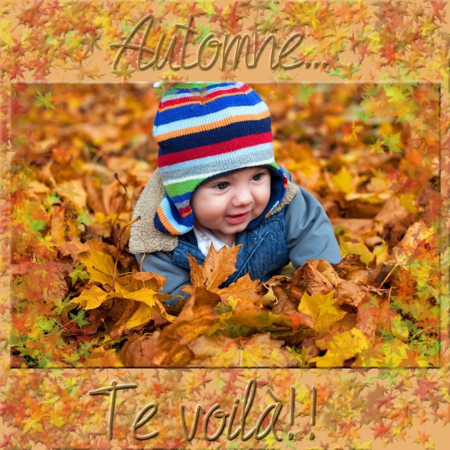 cartes virtuelles c est automne